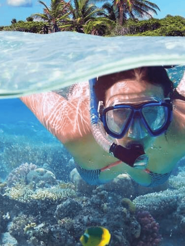 9 PLACES TO EXPERIENCE AMAZING SEA LIFE UP CLOSE - Trailfollow